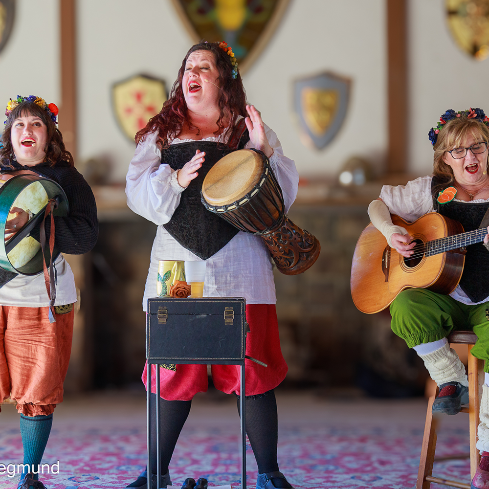 Renaissance Entertainment in FL | Brevard Renaissance Fair